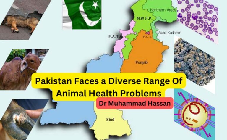 Pakistan faces a diverse range of animal health problems - The ...