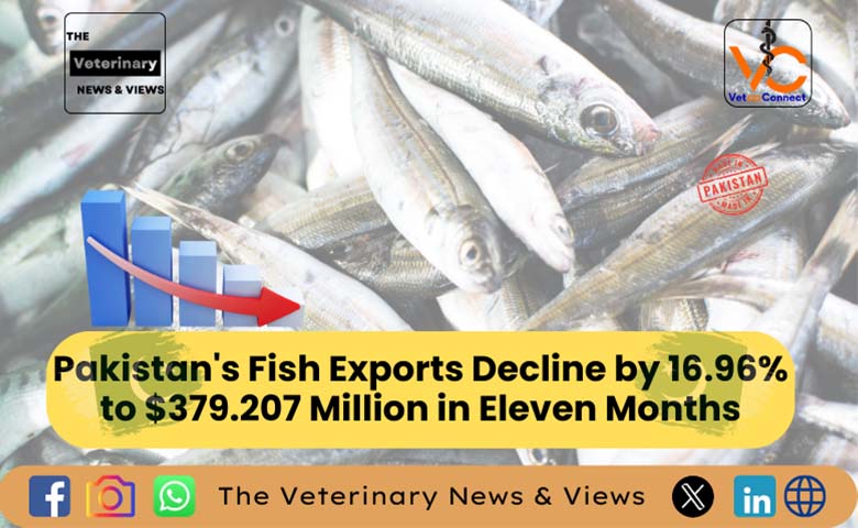 Pakistan's Fish Exports Declined by 16.96% to $379.207 Million in ...