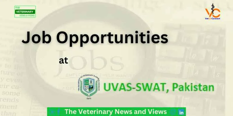Job Opportunities at The University of Veterinary & Animal Sciences ...