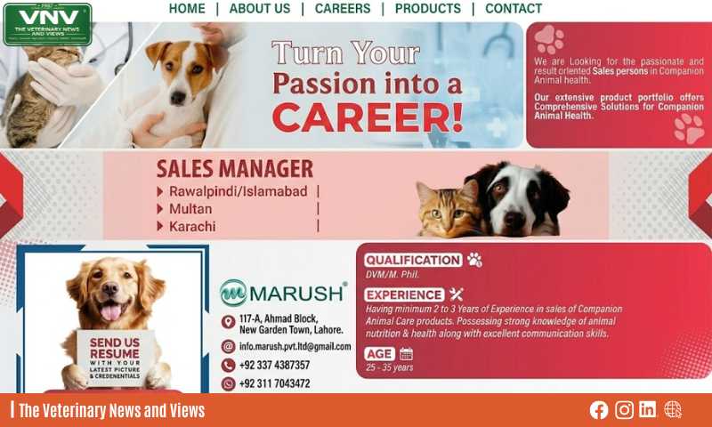 Sales Manager (Companion Animal Health) - The Veterinary News & Views